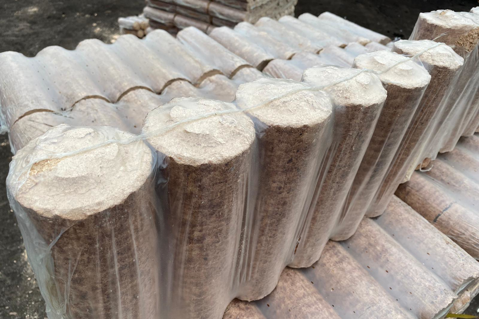 Brichete fag 100% putere calorică 5000kcal timp de ardere 6 ore ambalaj ...